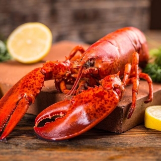 Cuisine mobile spéciale Homard : Découverte & Dégustation
